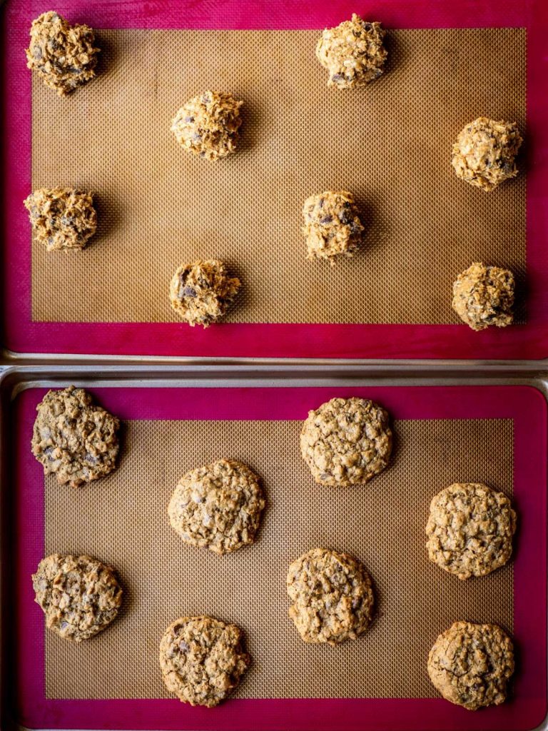 Oat Flour Oatmeal Cookies - The Nessy Kitchen