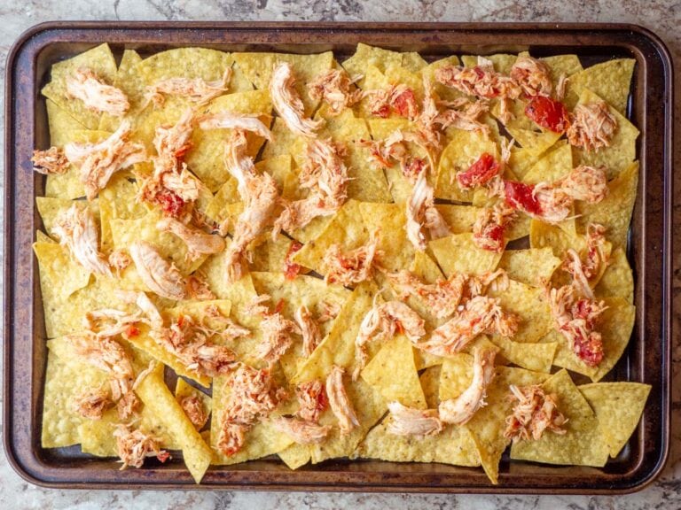 Shredded Chicken Nachos (With the BEST Easy Taco Chicken) - The Nessy ...