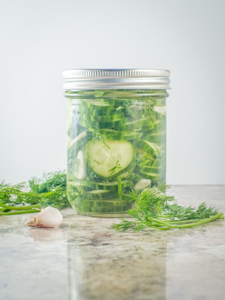 English Cucumber Refrigerator Pickles - The Nessy Kitchen