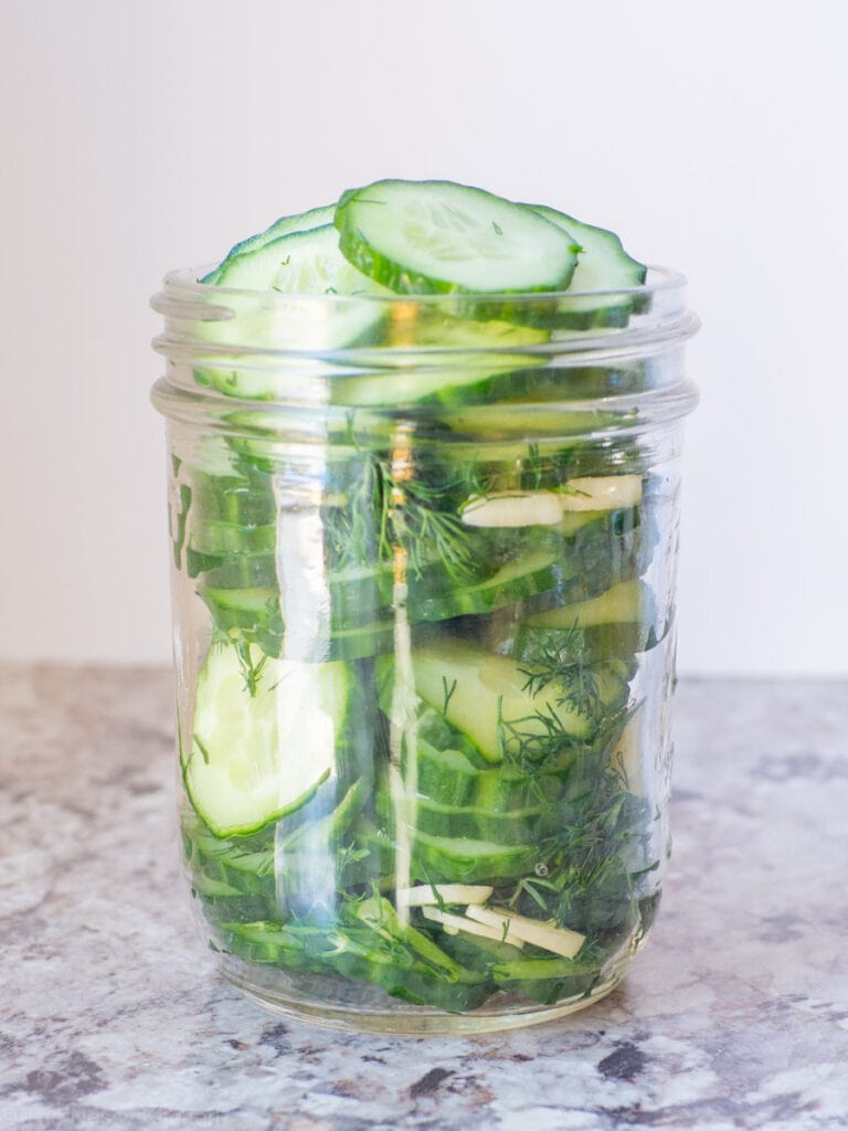 English Cucumber Refrigerator Pickles - The Nessy Kitchen