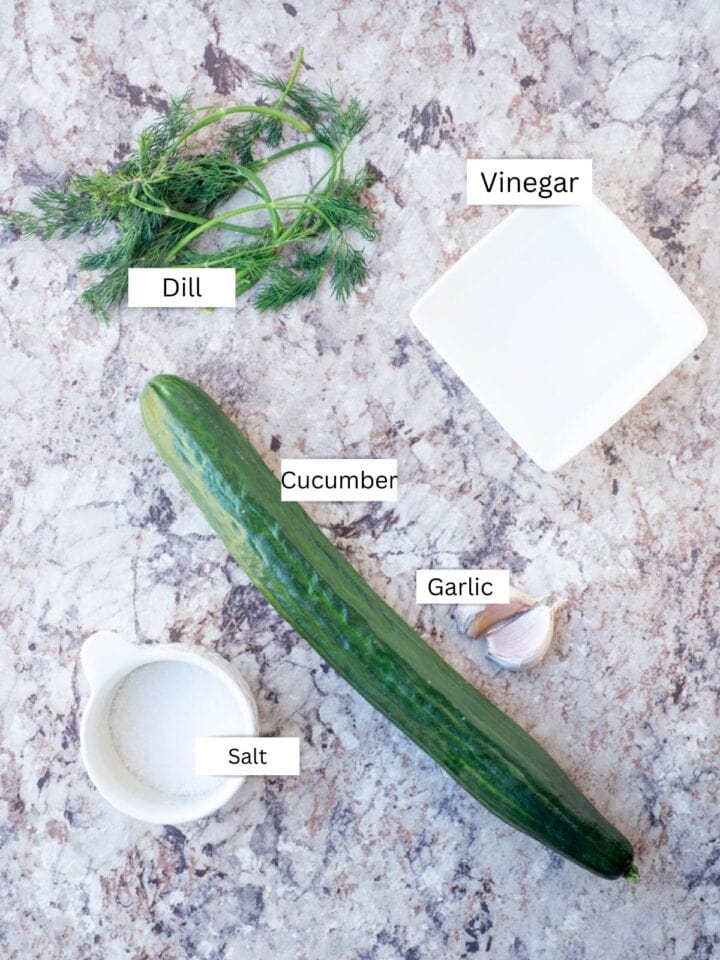 English Cucumber Refrigerator Pickles - The Nessy Kitchen