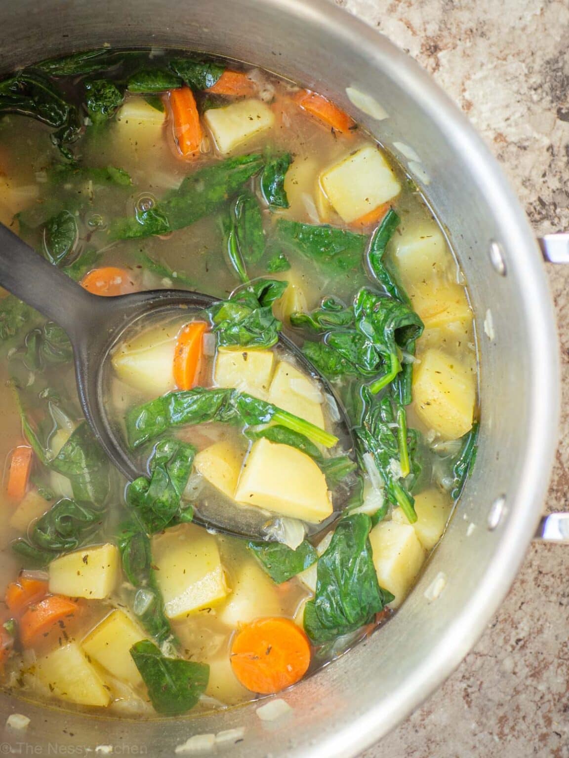 Garlic Lemon Vegetable Soup (One Pot) - The Nessy Kitchen