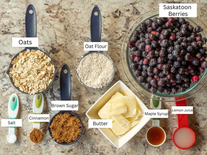 Saskatoon Berry Crisp - The Nessy Kitchen